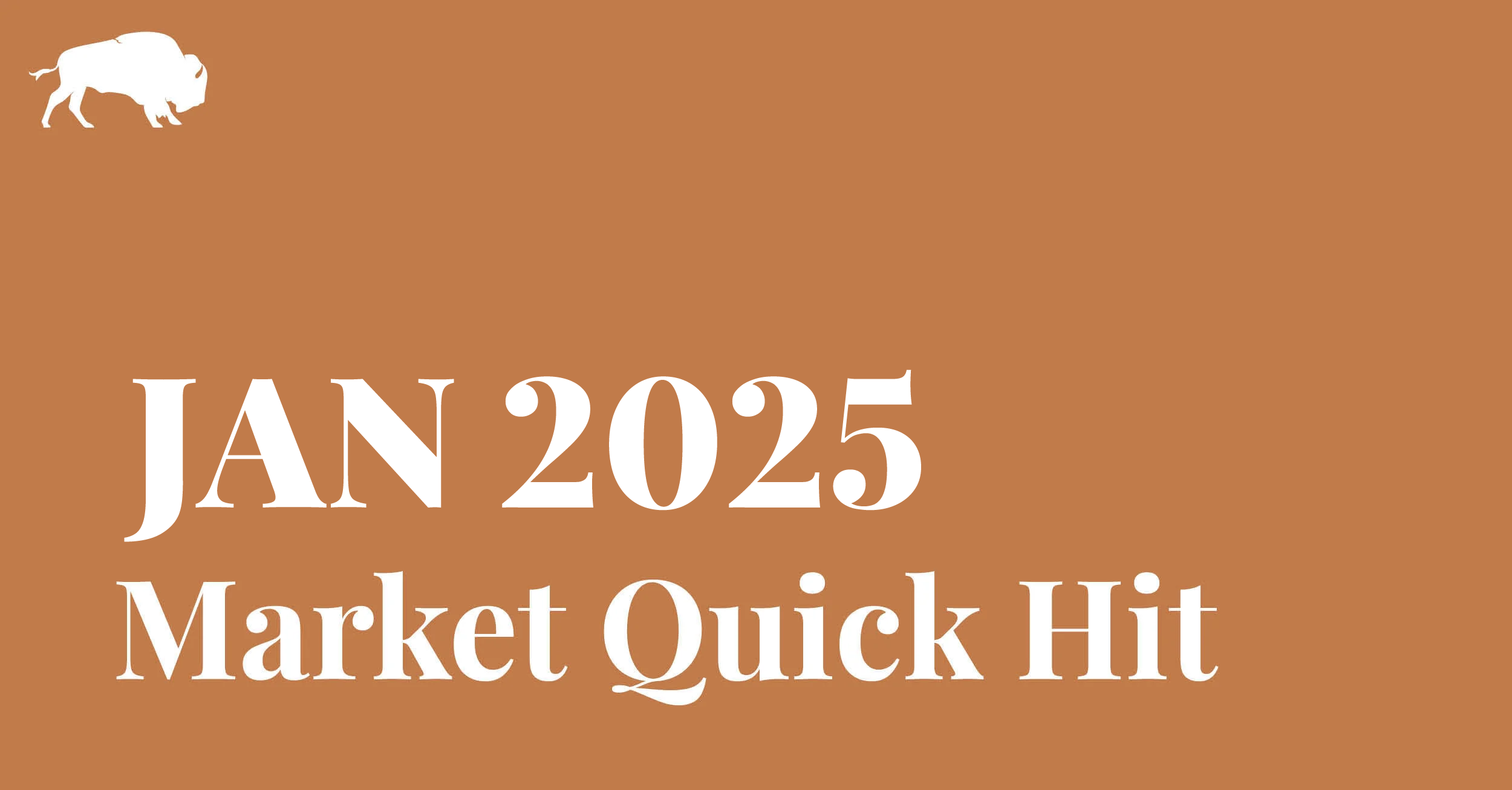 January 2025 Market Quick Hit - Bison Wealth